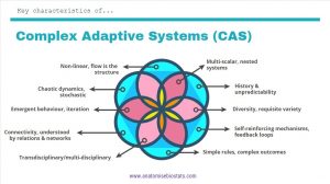 Complex Adaptive Systems (CAS) Approach to Biomedicine & Public Health ...