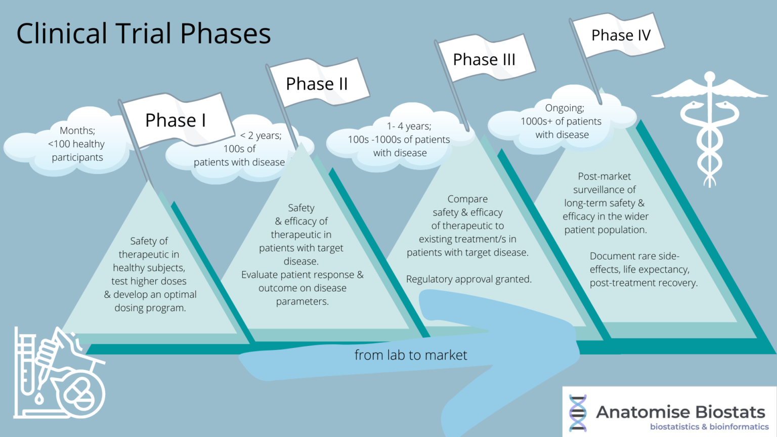 Clinical Trial Phases in Drug Development – Biostatistics ...